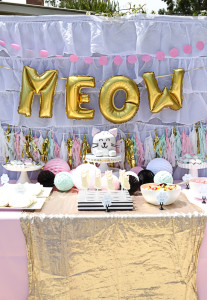 kitty cat birthday party!